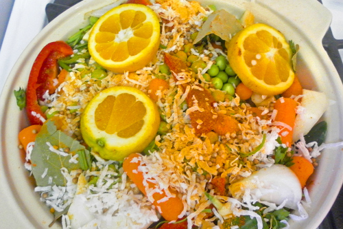 Coconut Vegetable Terrine